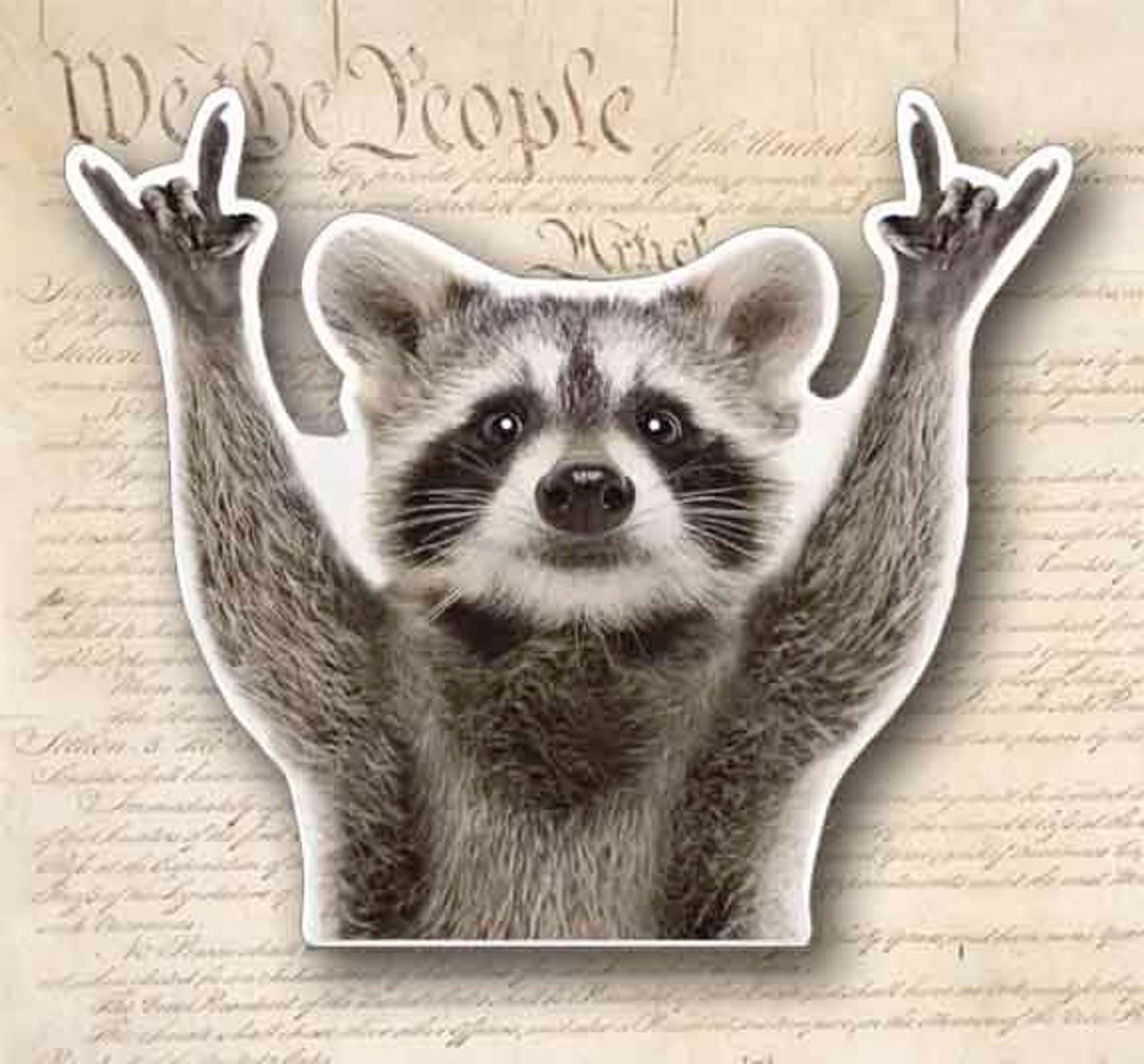 Funny and Cute Rock on Raccoon Sticker Decal Sticker 4.25" Wide Vinyl ...