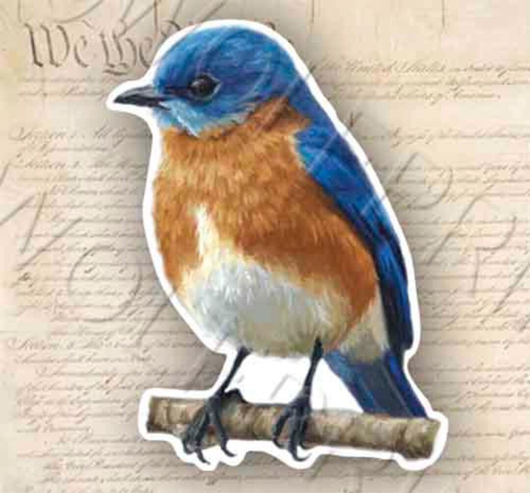 Bluebird 4.75" Tall Sticker Wild Birds Watcher Decal - Etsy