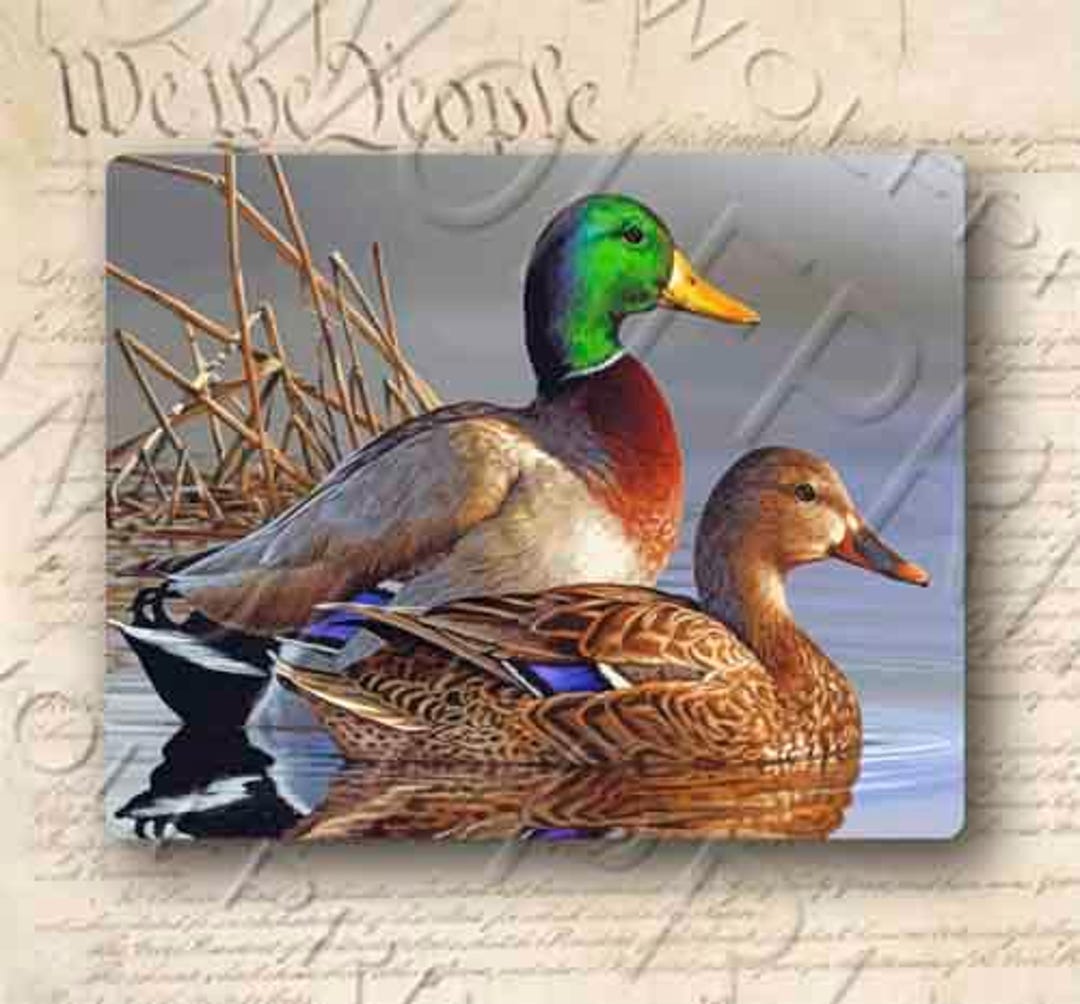 Mallard Ducks Wildlife Sticker 5.1" Wide Waterfowl Decal - Etsy