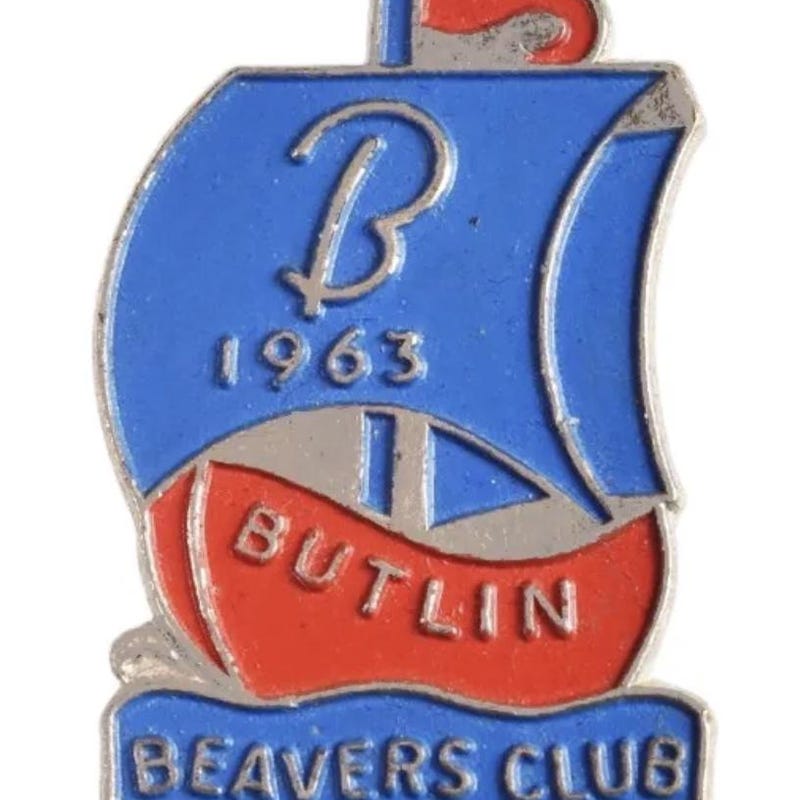 Old Beaver Antique - Etsy UK