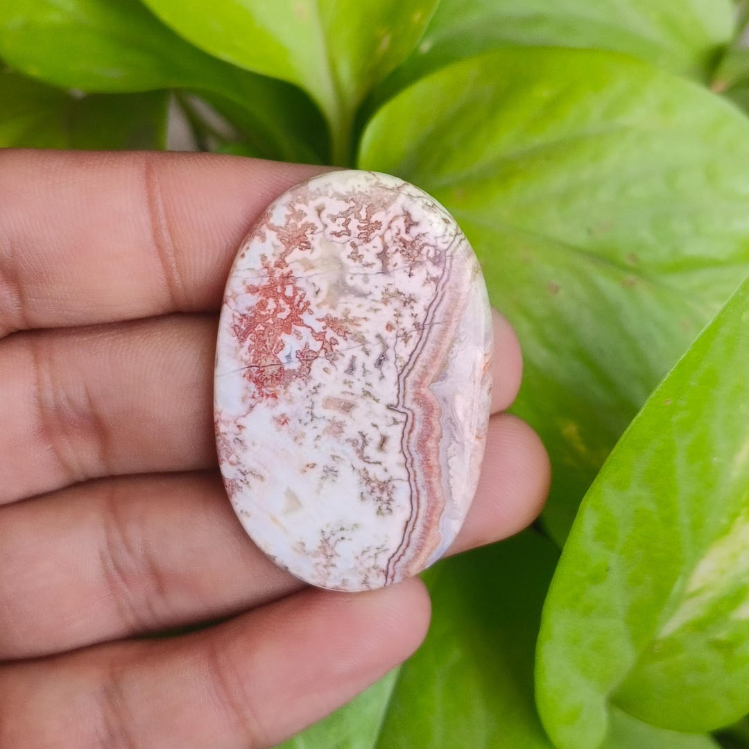 Very Rare || Quality Rosetta Jasper, Rosetta Jasper Cabochon, Loose ...