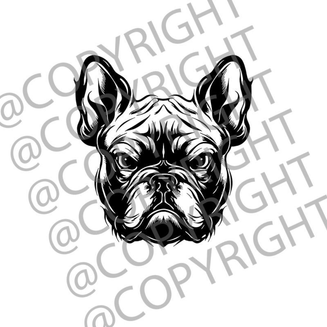 Angry French Bulldog
