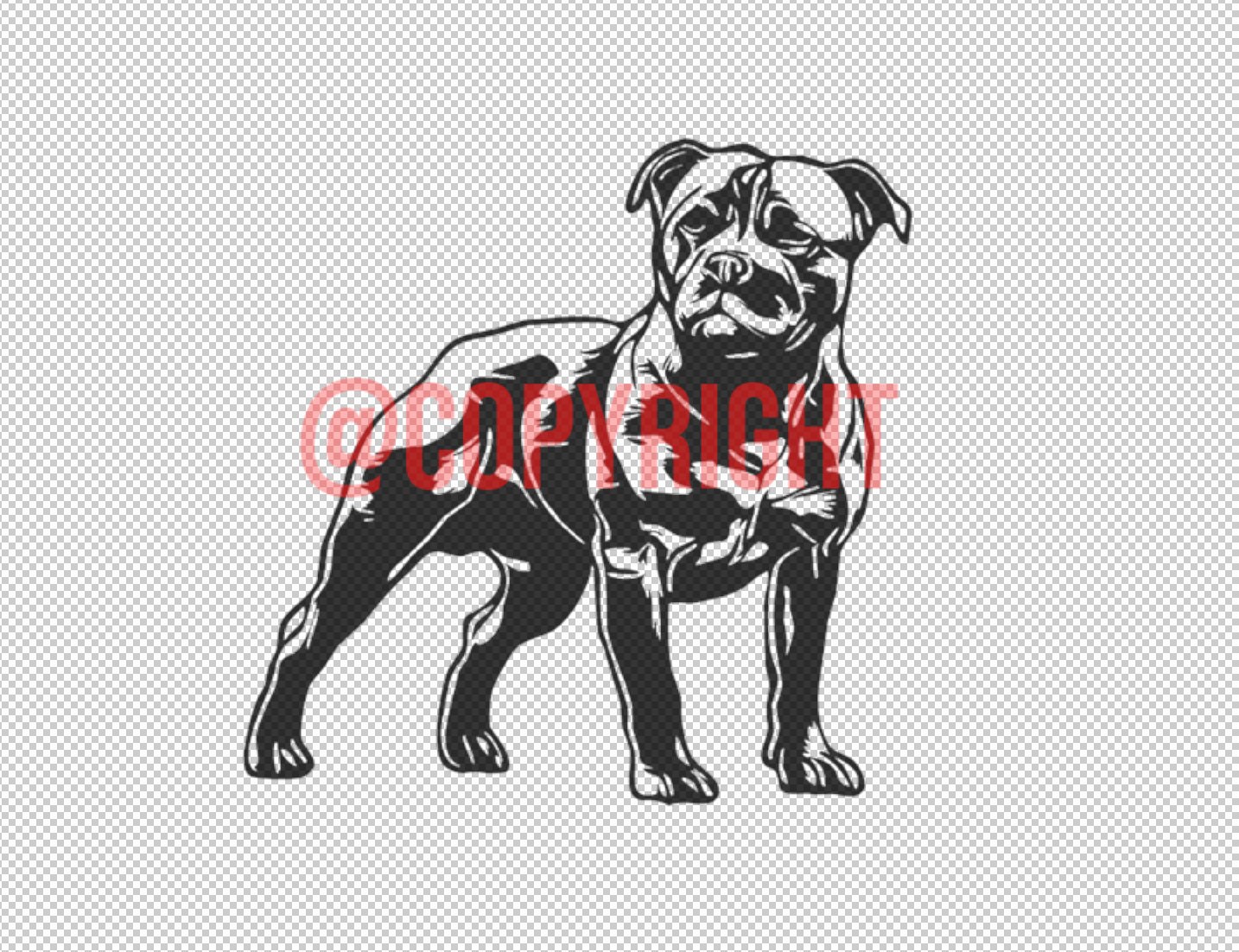 Staffordshire Bull Terrier Vector .SVG .PNG - Etsy