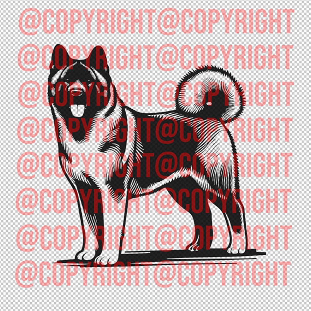 American Akita Design Vector .SVG .PNG 4k - Etsy