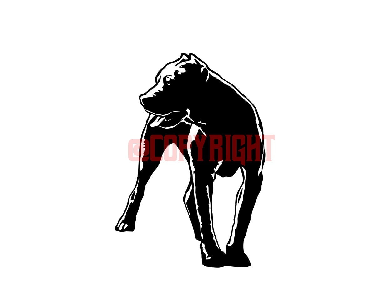 Cane Corso Graphic Vector .SVG .PNG - Etsy