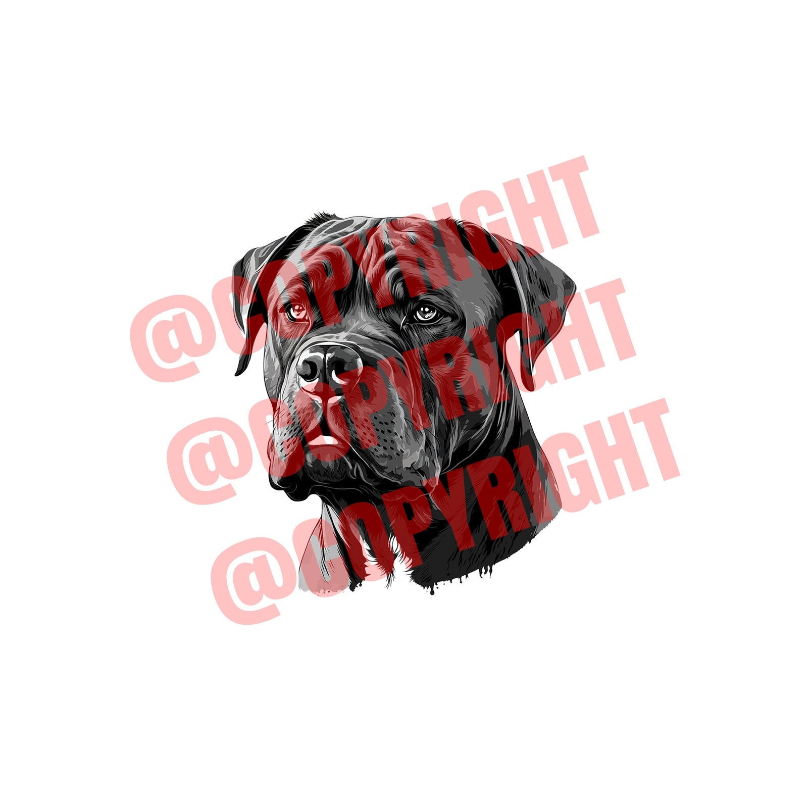 Cane Corso Realistic Head .SVG and 4k Cutted .PNG - Etsy