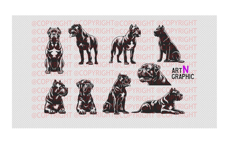 Cane Corso 9 Design Bundle Vector .SVG .PNG - Etsy