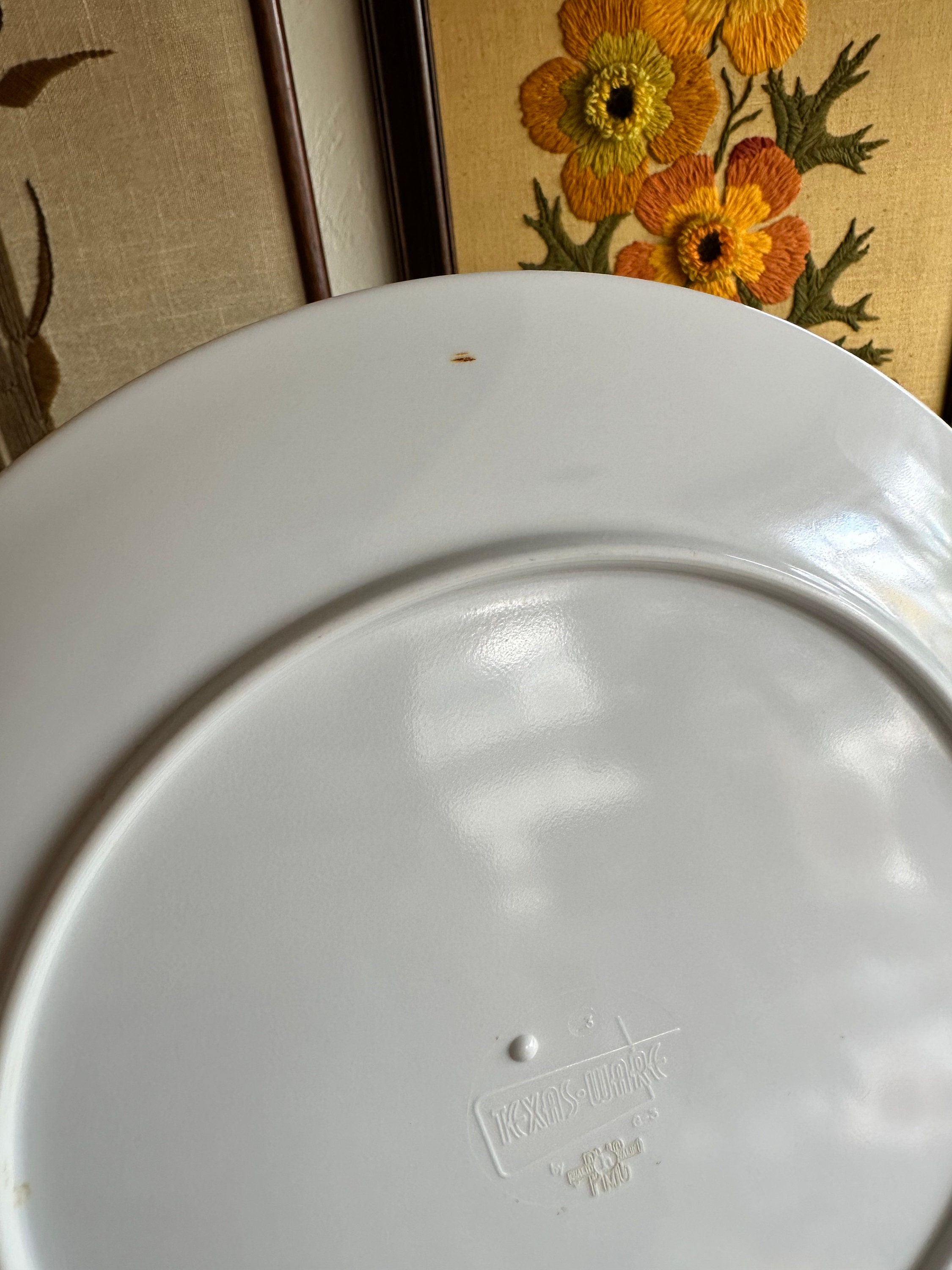 Vintage Texas Ware Melamine 70s Dinner Plates | Mushrooms Daisies Pears ...
