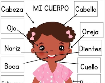 Parts Of The Human Body In Spanish