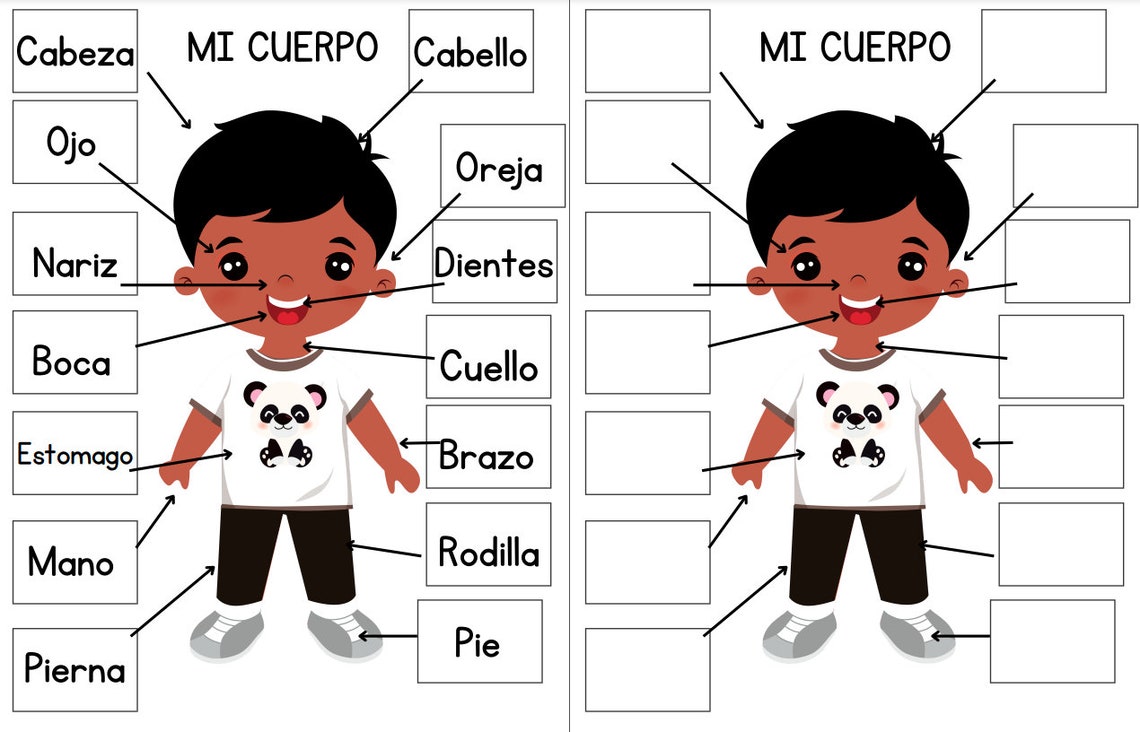 SPANISH Body Parts for Kids, Interactive Printable Study Guide, Body ...