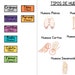BILINGUAL Human Skeleton/el Esqueleto Humano, Interactive Printable ...
