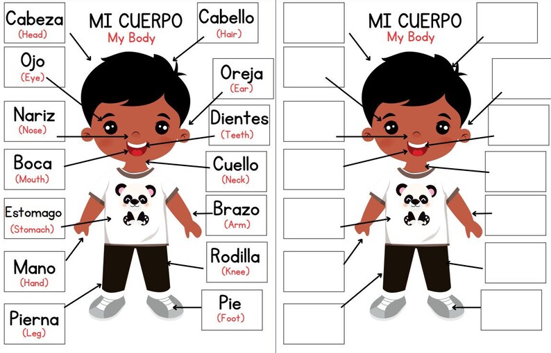 BILINGUAL Body Parts/partes Del Cuerpo, Mi Cuerpo BILINGUAL Interactive ...