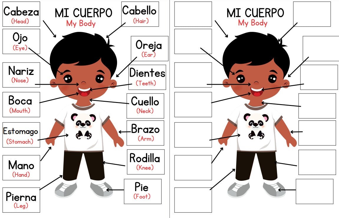 Partes Del Cuerpo In Spanish Las Partes Del Cuerpo . Song To Learn The