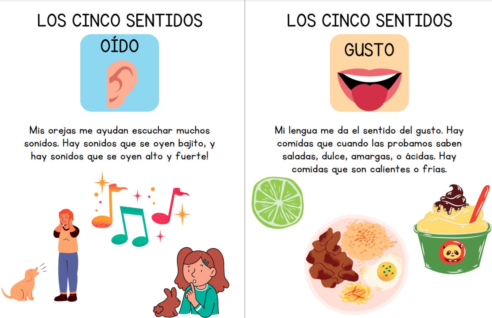 SPANISH Body Parts for Kids, Interactive Printable Study Guide, Body ...