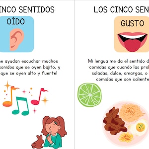 SPANISH Body Parts for Kids, Interactive Printable Study Guide, Body ...