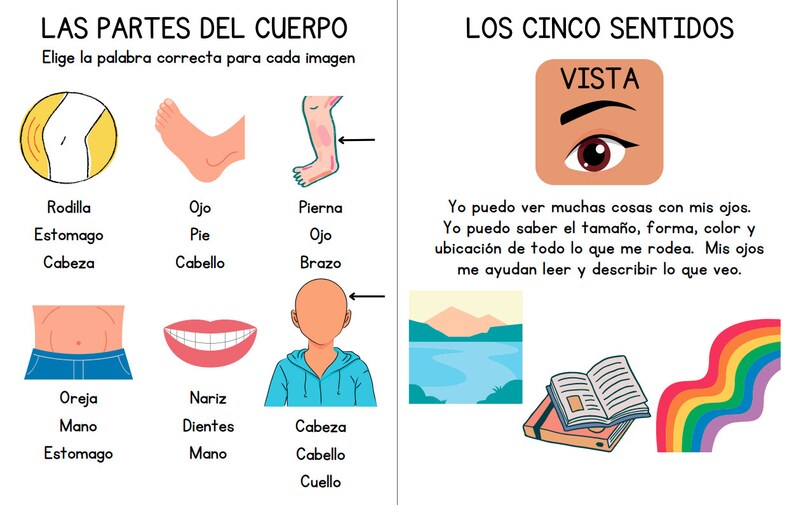 SPANISH Body Parts for Kids, Interactive Printable Study Guide, Body ...