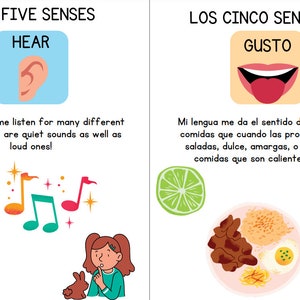 BILINGUAL Body Parts/partes Del Cuerpo, Mi Cuerpo BILINGUAL Interactive ...