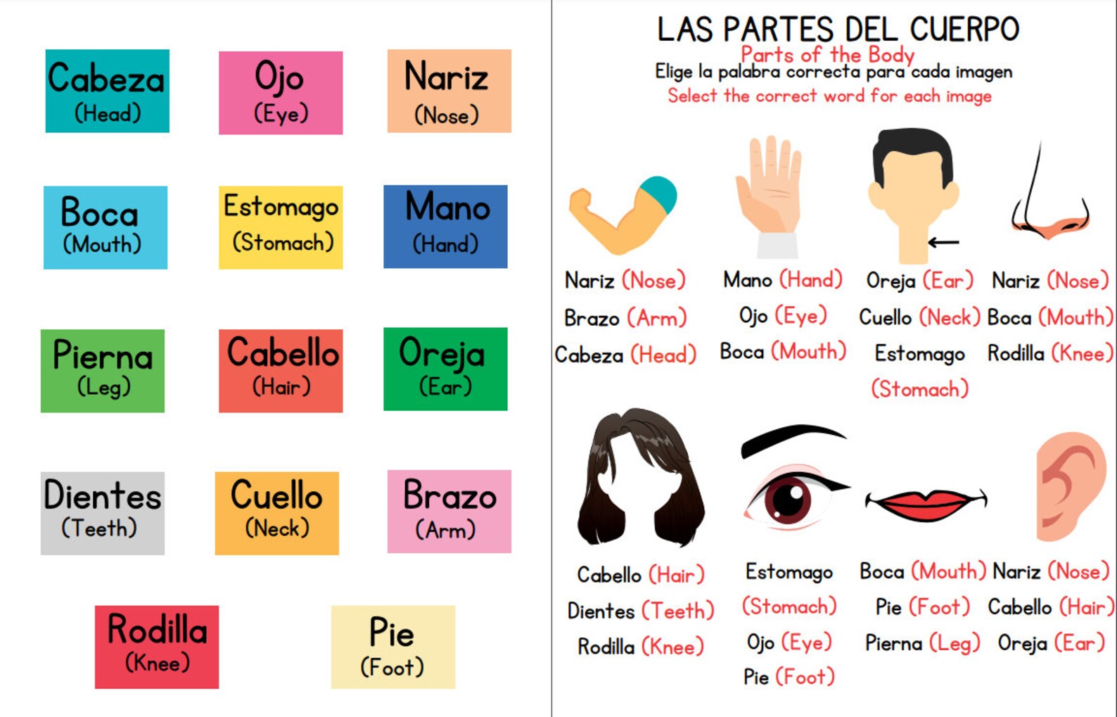BILINGUAL Body Parts/partes Del Cuerpo, Mi Cuerpo BILINGUAL Interactive ...