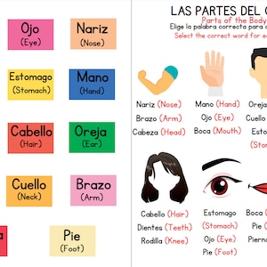 BILINGUAL Body Parts/partes Del Cuerpo, Mi Cuerpo BILINGUAL Interactive ...