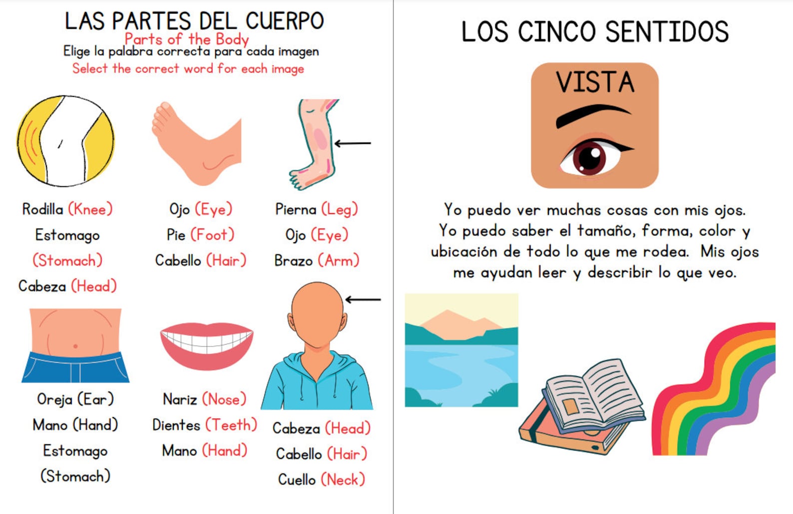 BILINGUAL Body Parts/partes Del Cuerpo, Mi Cuerpo BILINGUAL Interactive ...