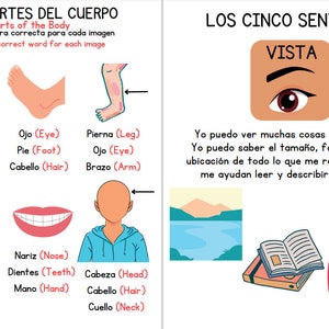 BILINGUAL Body Parts/partes Del Cuerpo, Mi Cuerpo BILINGUAL Interactive ...