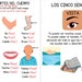 BILINGUAL Body Parts/partes Del Cuerpo, Mi Cuerpo BILINGUAL Interactive ...