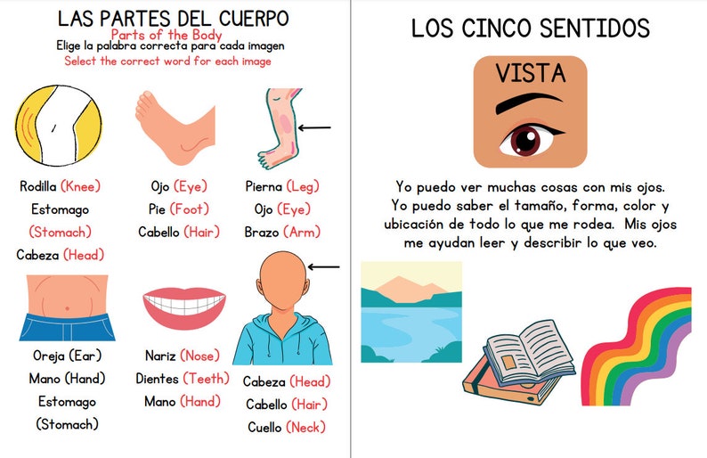 BILINGUAL Body Parts/partes Del Cuerpo, Mi Cuerpo BILINGUAL Interactive ...