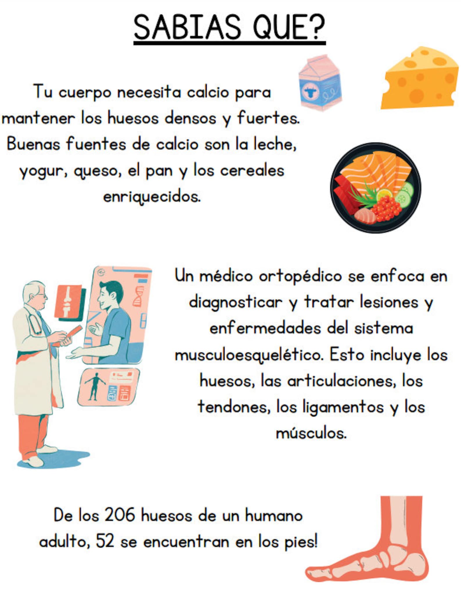 SPANISH Human Skeleton for Kids, Interactive Printable Study Guide - Etsy