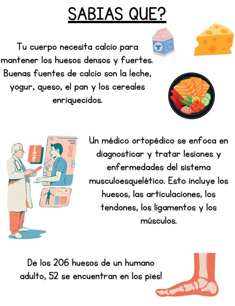 SPANISH Human Skeleton for Kids, Interactive Printable Study Guide - Etsy