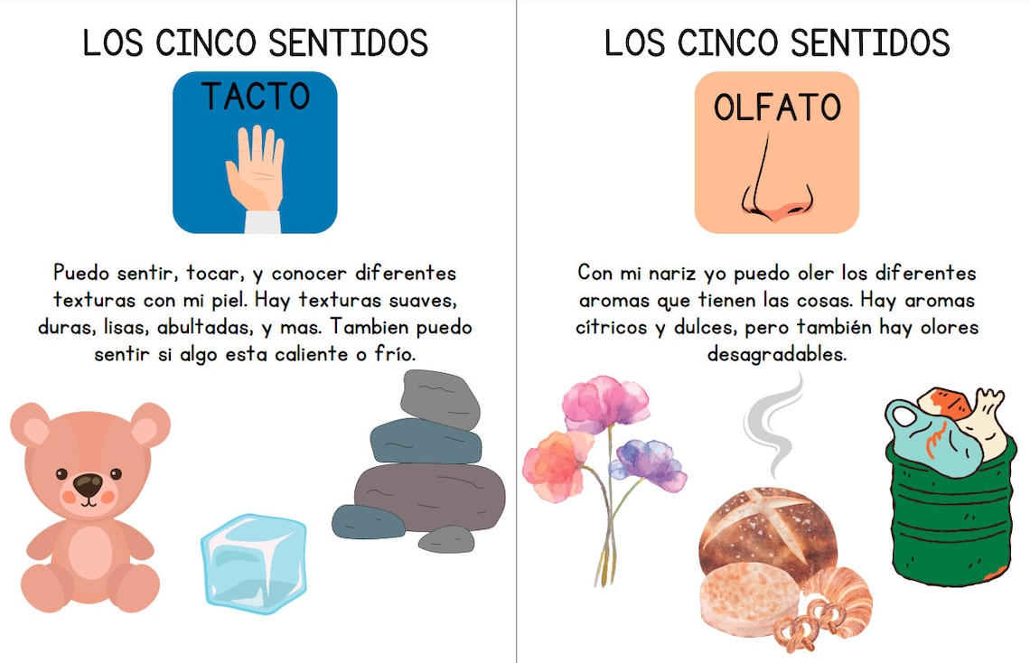 SPANISH Body Parts for Kids, Interactive Printable Study Guide, Body ...