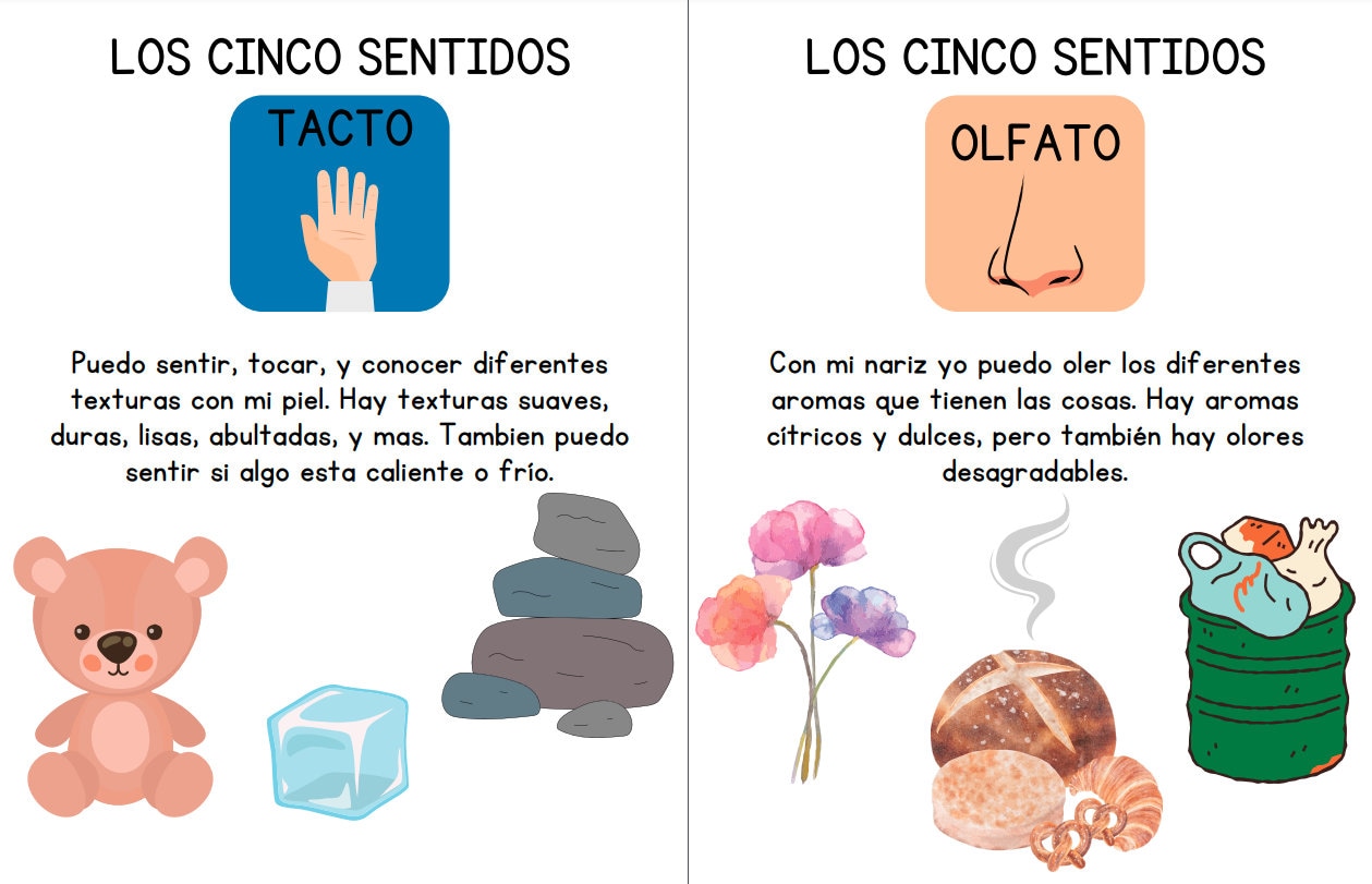 SPANISH Body Parts for Kids, Interactive Printable Study Guide, Body ...