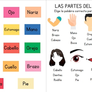 SPANISH Body Parts for Kids, Interactive Printable Study Guide, Body ...