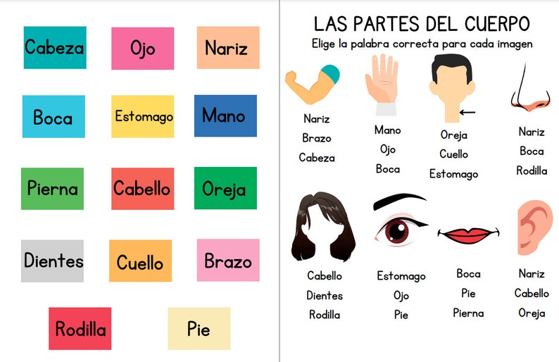 SPANISH Body Parts for Kids, Interactive Printable Study Guide, Body ...