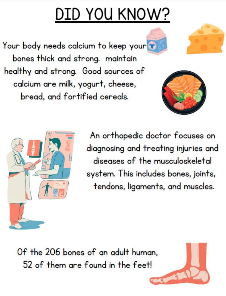BILINGUAL Human Skeleton/el Esqueleto Humano, Interactive Printable ...