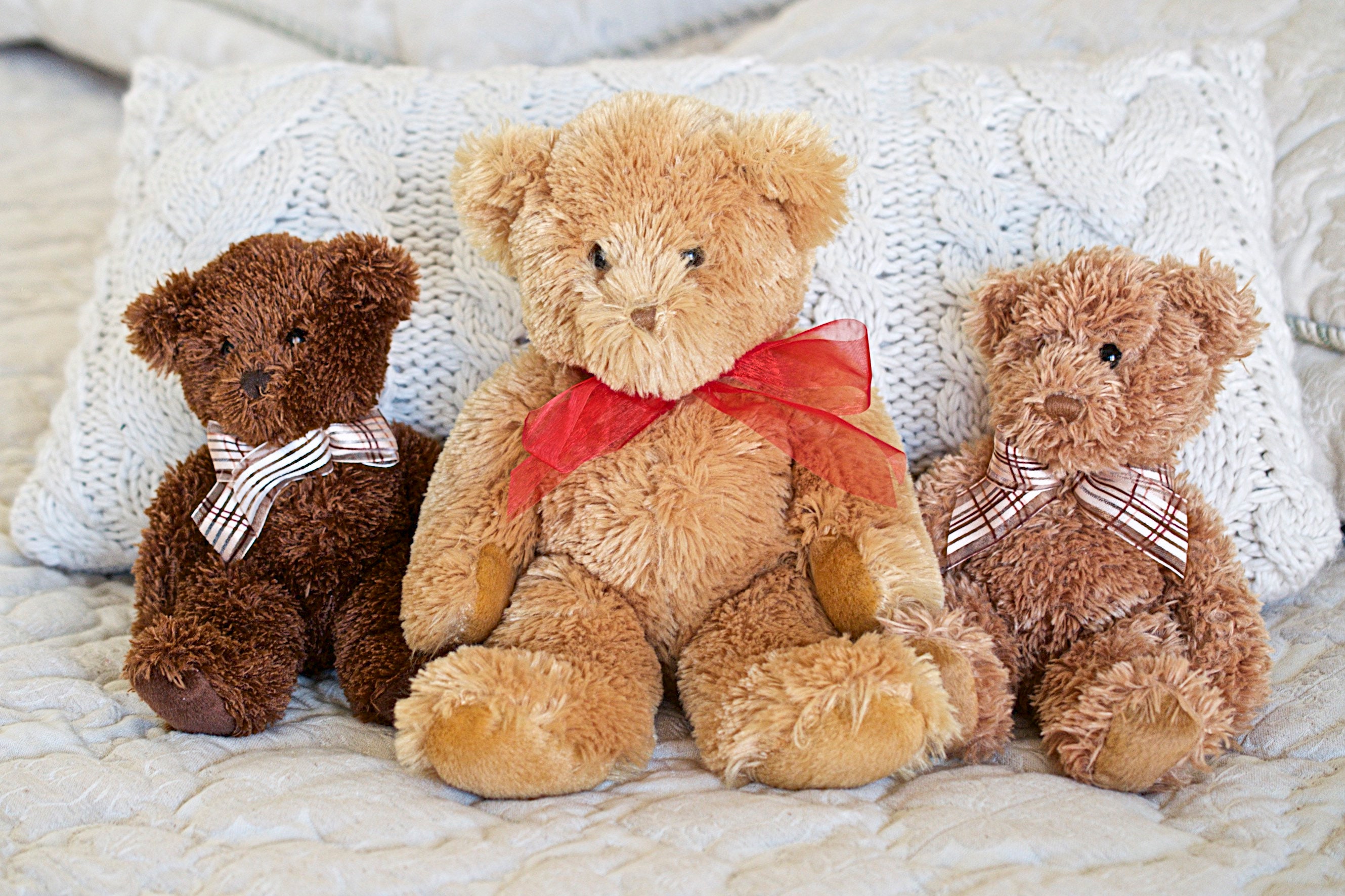 Vintage Douglas Fuzzy Soft Teddy Bear the Cuddle Toy - Etsy