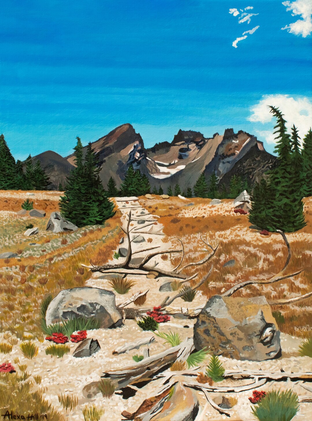 Original Painting - Broken Top Trailhead - Etsy