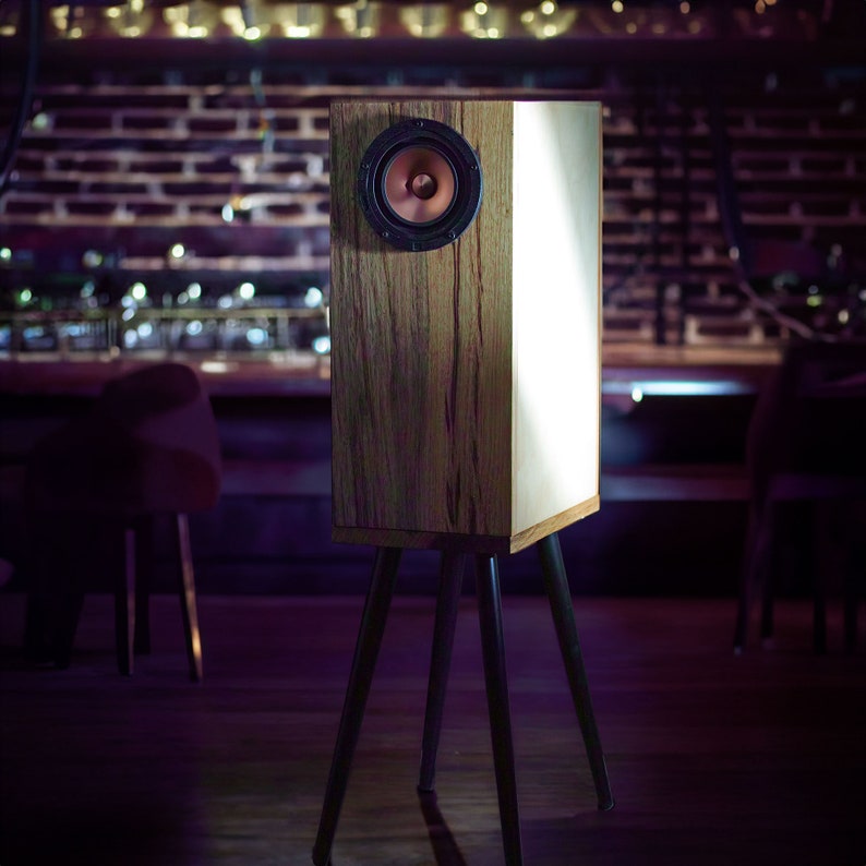 Experience a New Dimension of Audio Excellence With the Hiro Solo Full Range Speaker - Etsy