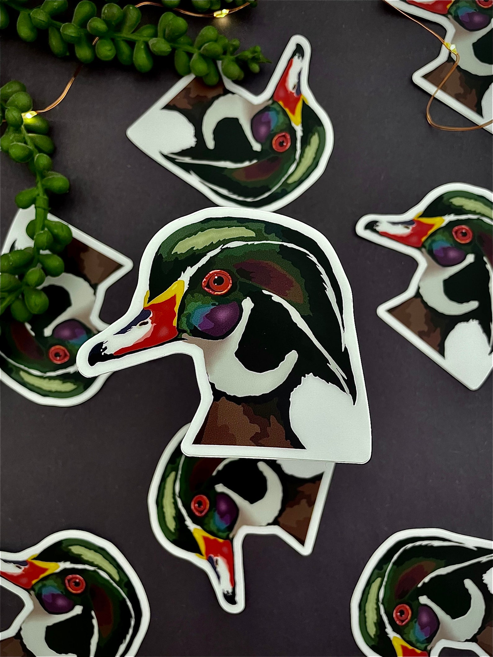 Wood Duck Sticker - Etsy