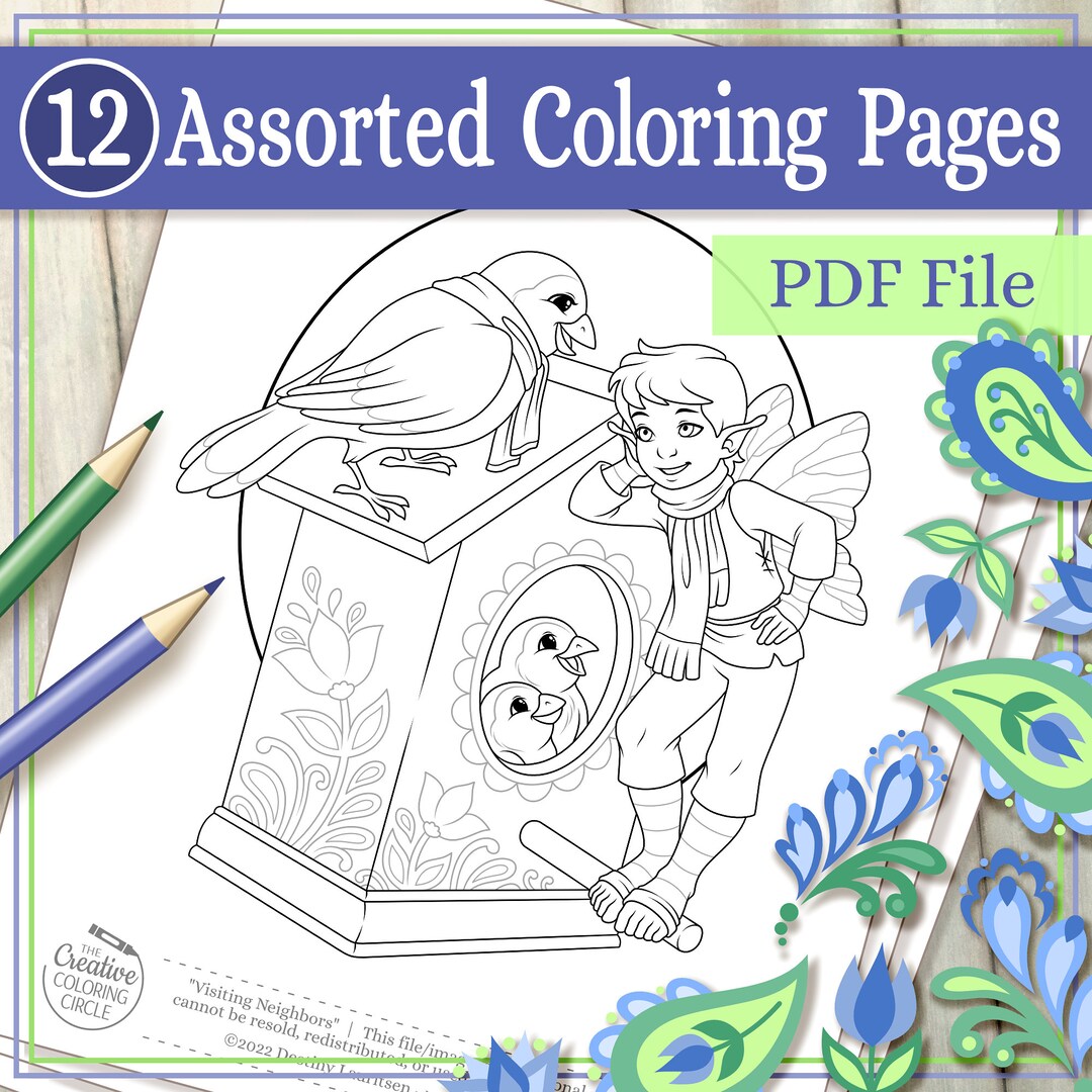 Assorted Coloring Pages - 12 Whimsical Illustrations Suitable for All ...