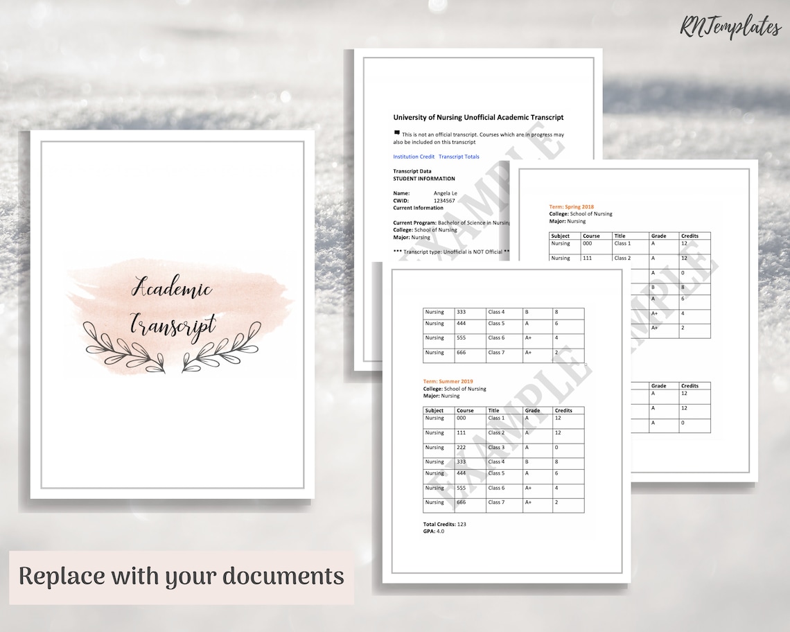 Nursing Portfolio Template, Pink Watercolor, Registered Nurse Template ...
