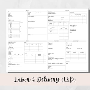 Maternity Report Sheet Bundle, 6 Templates (5 Mom/baby, 1 L&D), Nurse ...