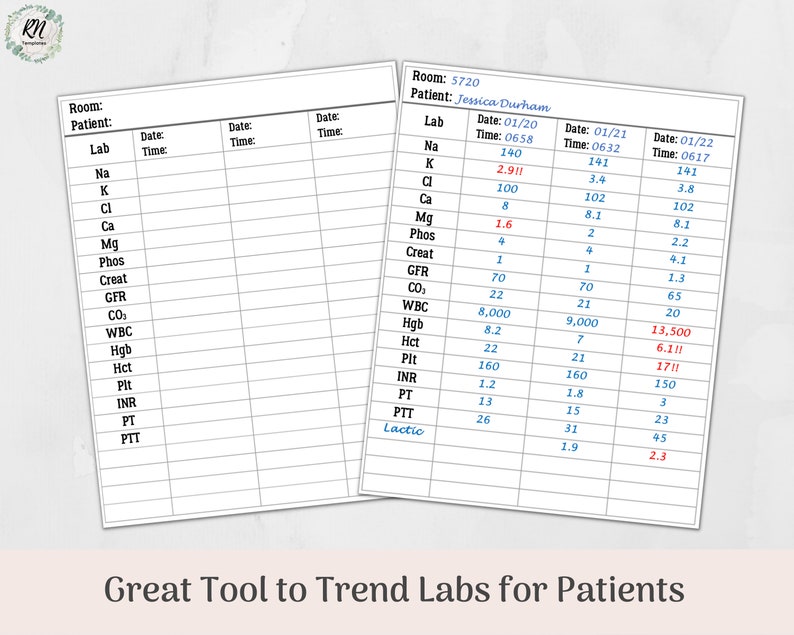 Nurse Lab Results Log ICU CCU Med Surg Nurse Instant - Etsy