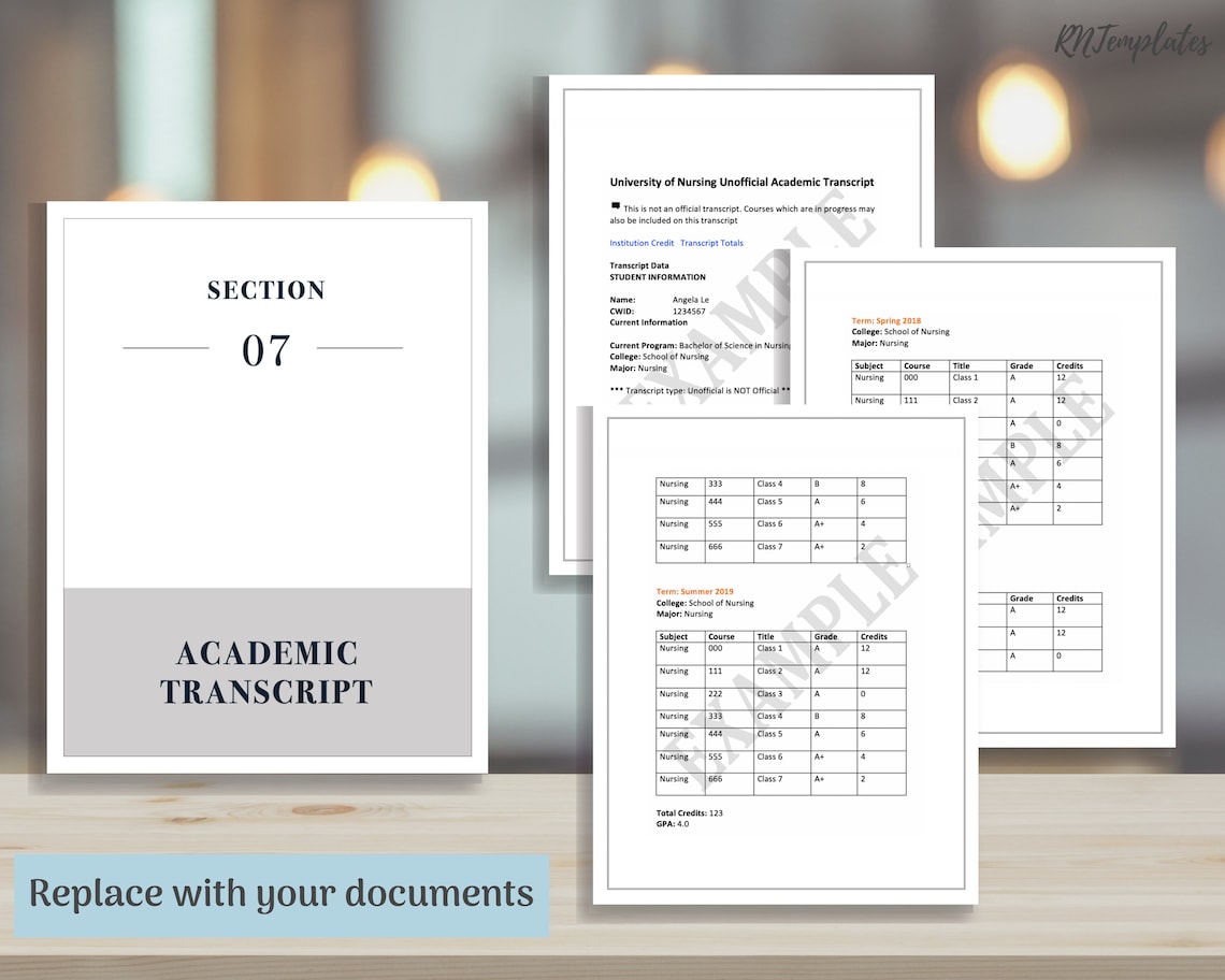 Nursing Portfolio Template Edgy Gray Registered Nurse - Etsy