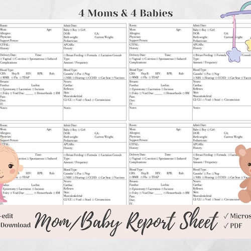 The Ultimate Mom & Baby Nurse Brain Report Sheet 4 Mom and 4 - Etsy