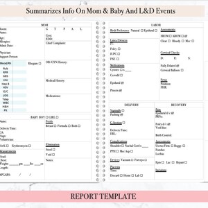 Labor and Delivery Reusable Nurse Report Notebook, Pink Ombre, 4 Mom ...