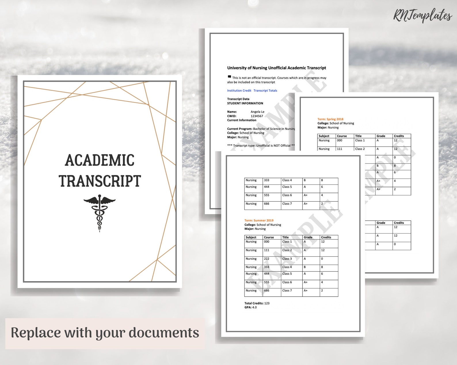 Nursing Portfolio Template, Geometric Gold, Registered Nurse Template ...