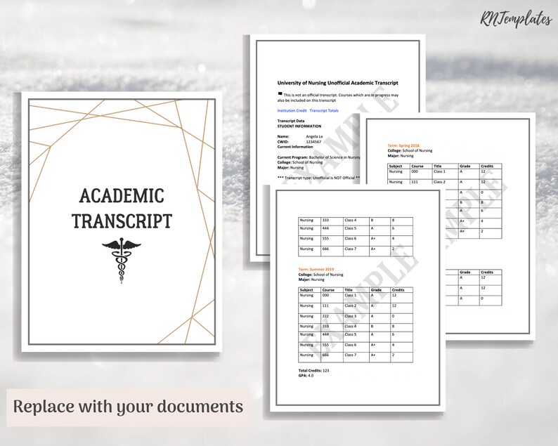 Nursing Portfolio Template Geometric Gold Registered Nurse - Etsy