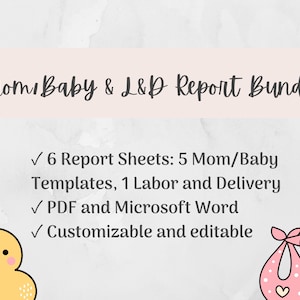 Maternity Report Sheet Bundle, 6 Templates (5 Mom/baby, 1 L&D), Nurse ...