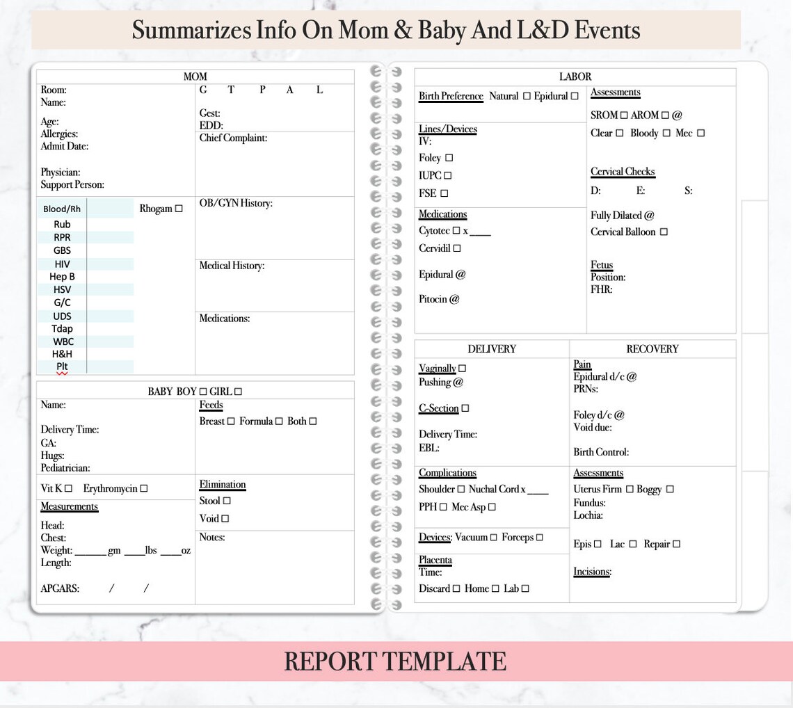 Labor and Delivery Reusable Nurse Report Notebook Pink Ombre - Etsy