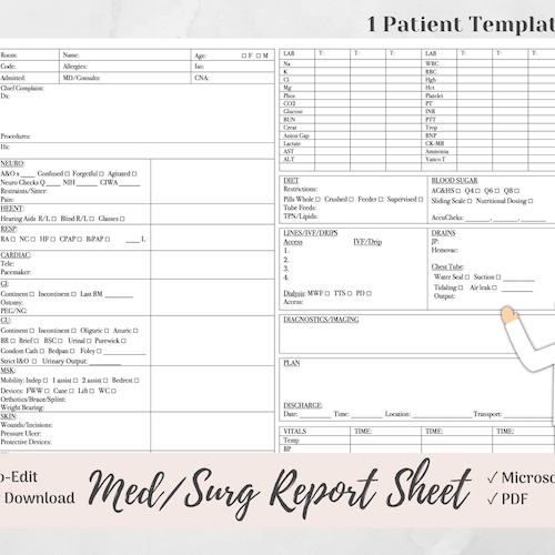 Inpatient Rehab Nurse Report Sheet for 1 Patient - Etsy